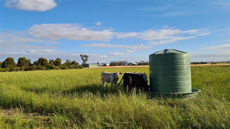 5,610 Litre Cup and Saucer Water Tank - Bushman Tanks