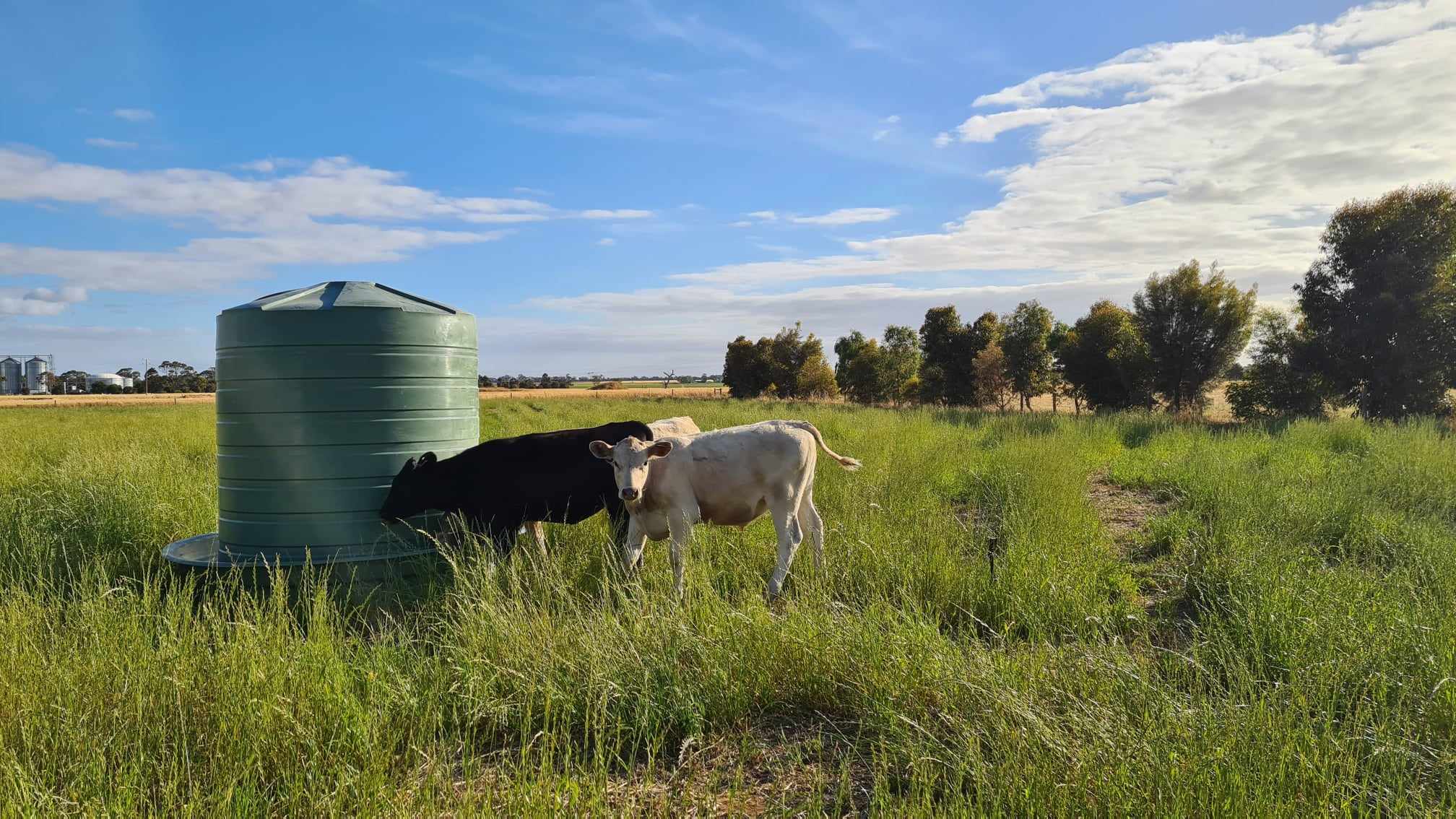 Australia's Best Farm Water Tank Systems - Bushman Tanks