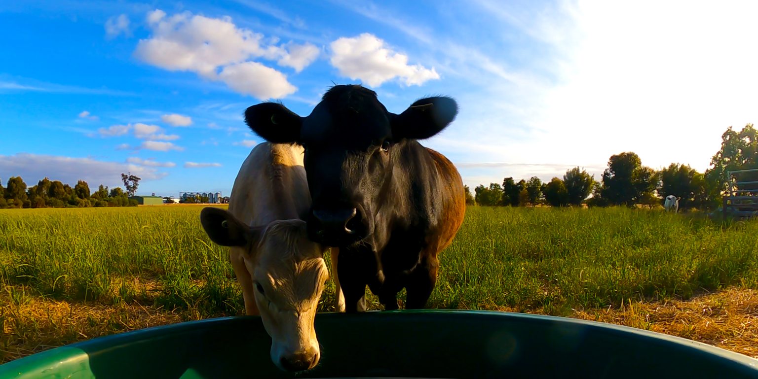 Australia's Best Farm Water Tank Systems - Bushman Tanks