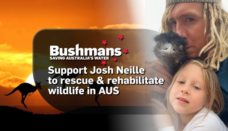 Supporting a Wildlife Warrior: Josh Neille’s Journey to Rescue and ...