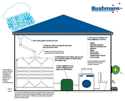 How Do Rainwater Tanks Work? | Save Water and Cut Bills